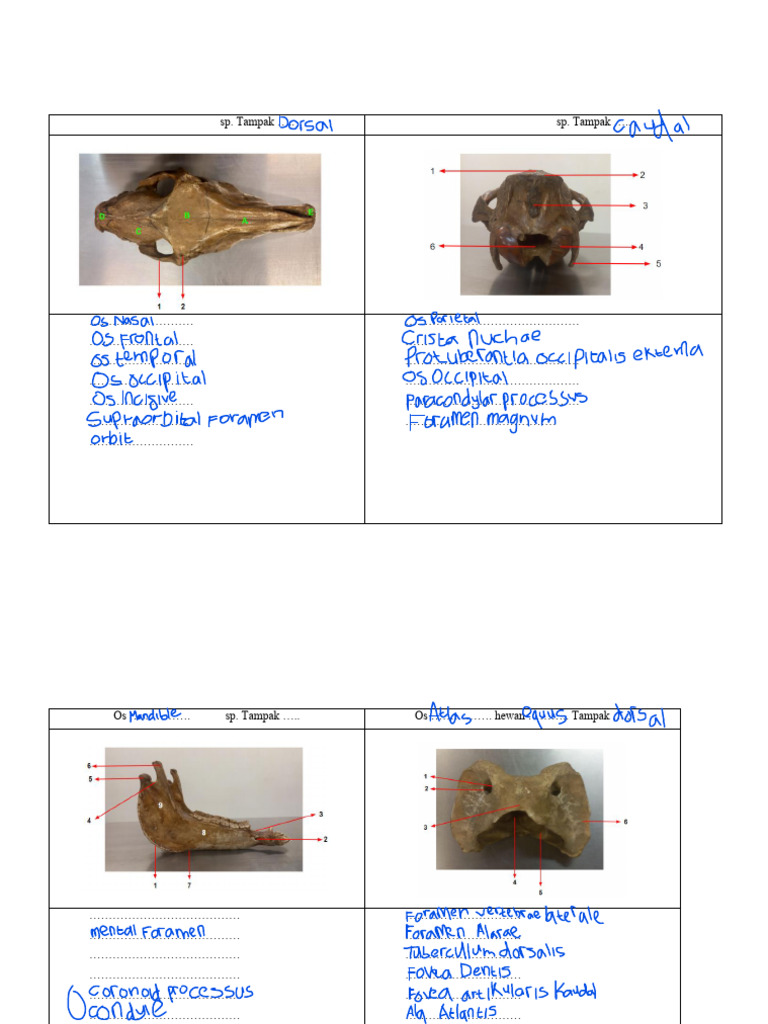 Kuromi Anjay Mabar | PDF