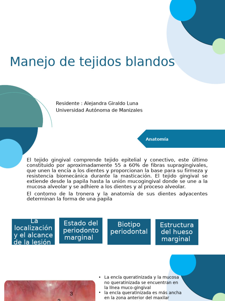Manejo de Tejidos Blandos - PPTM | PDF