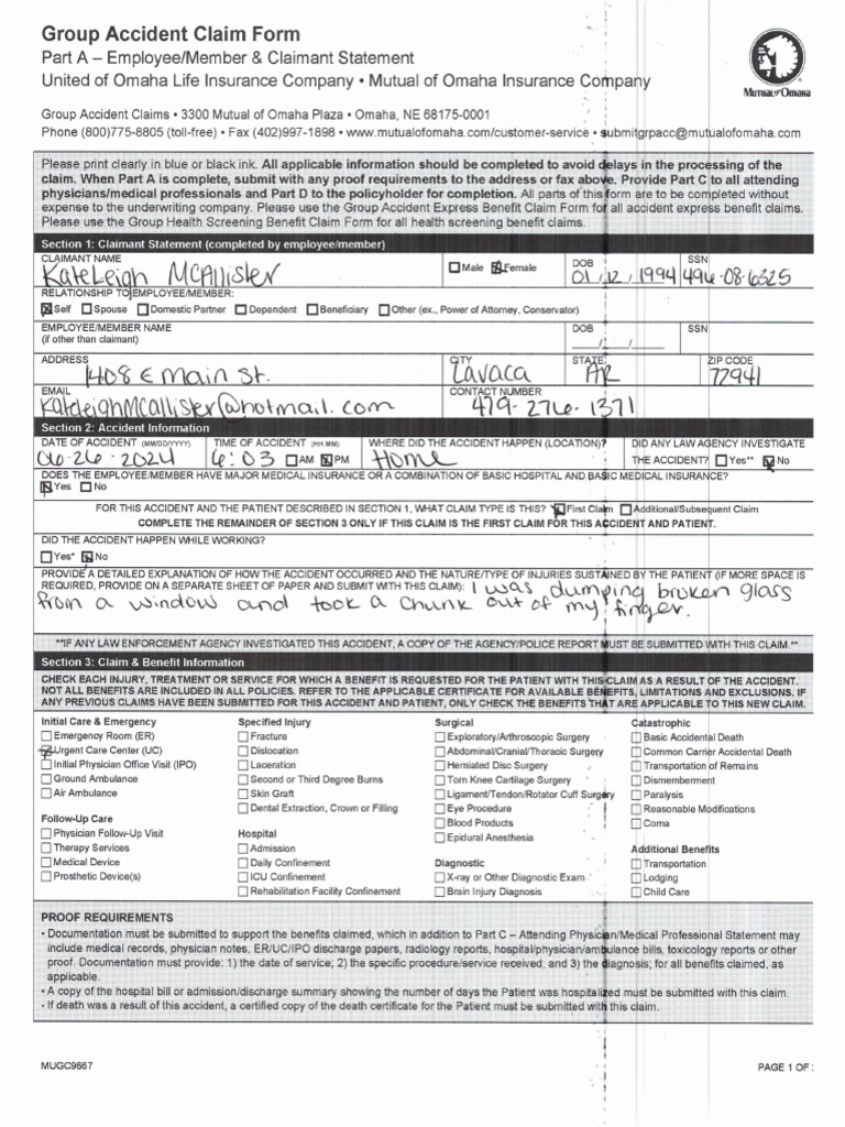 K McAllister Claim | PDF