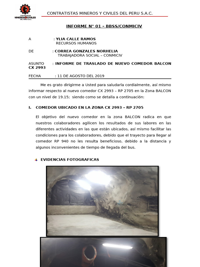 Informe de Nuevo Comedor | PDF