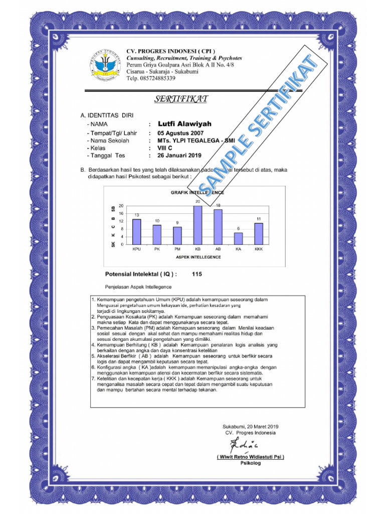 Sertifikat Tes IQ Untuk SMP | PDF