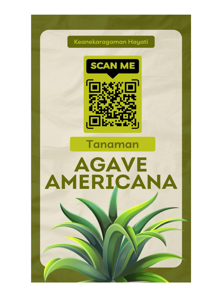 Tanaman Agave Americana - Faizal&Herlambang | PDF