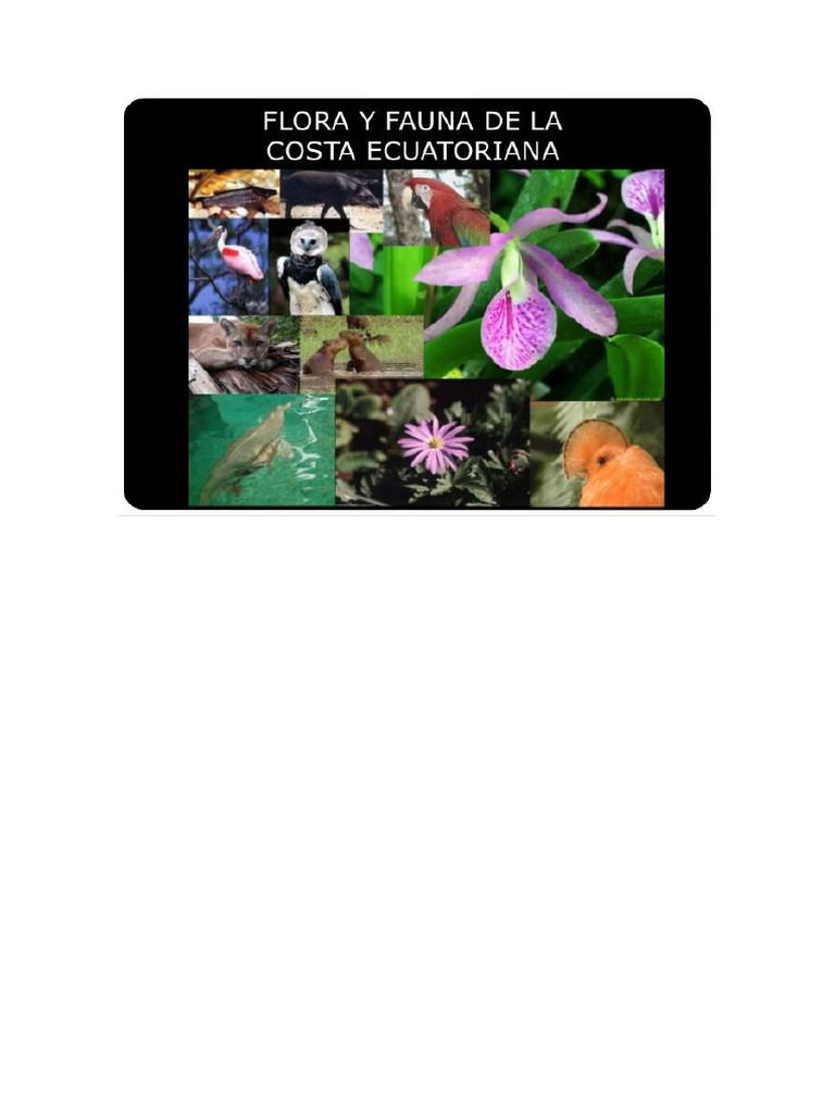 7 Fauna | PDF