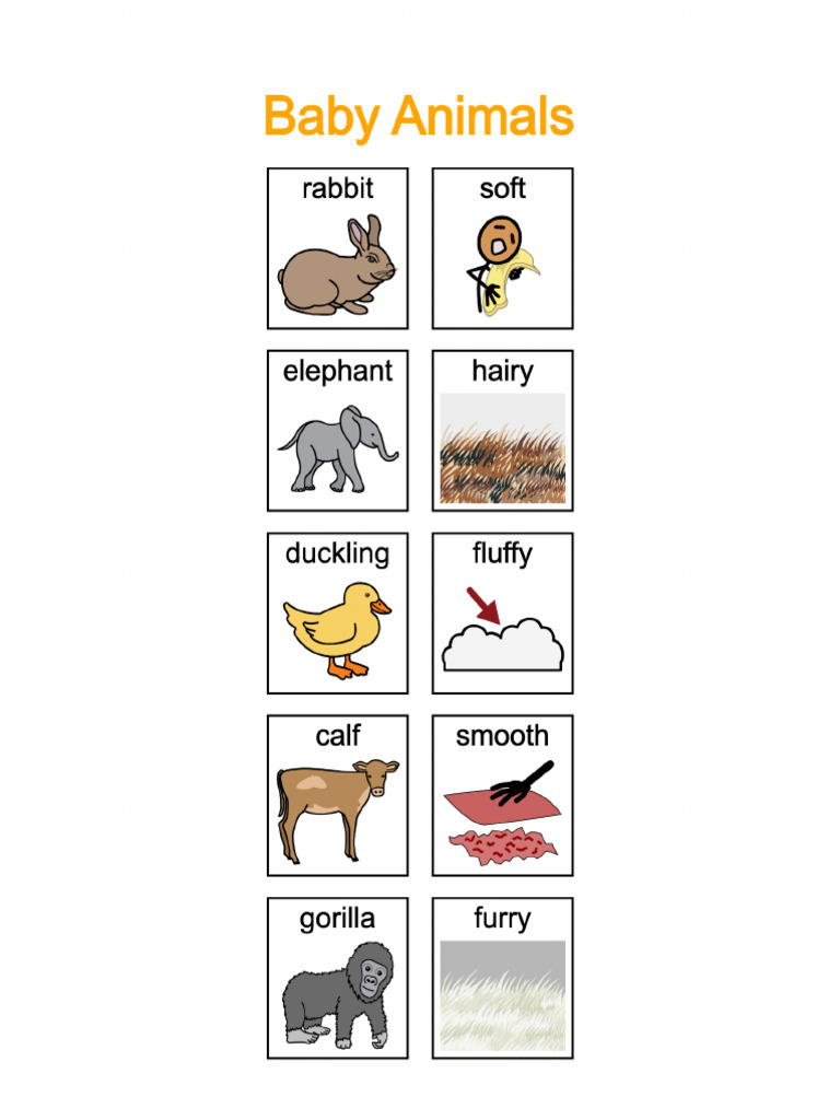 Baby animals words | PDF