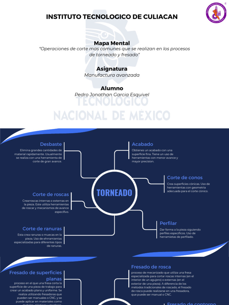 Tarea 2 Mapa mental | PDF