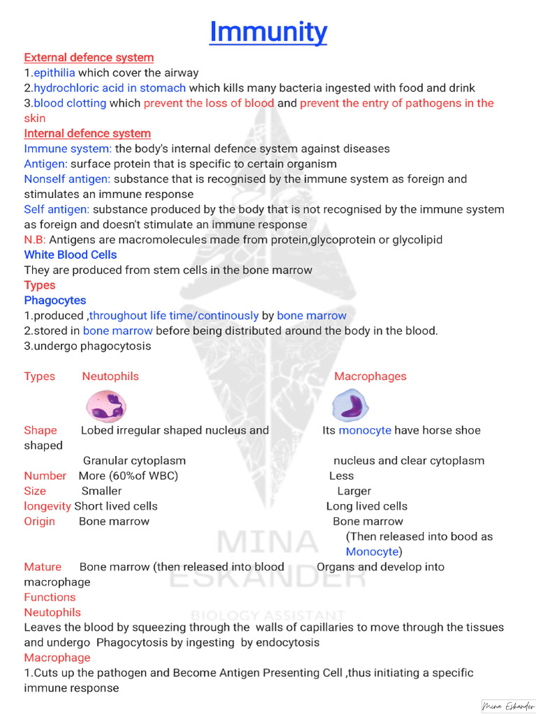 Immunity As Biology by Mina Eskander | PDF