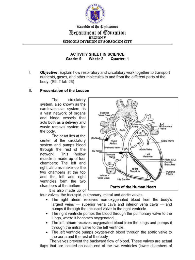 Science 9 Q1 Wk2 (4pages) | PDF
