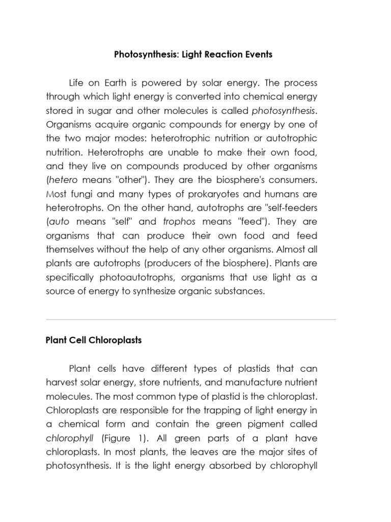 Photosynthesis | PDF