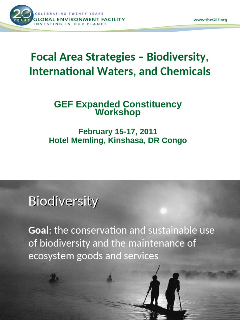 Focal Area Strategies - BD IW Chemicals | PDF