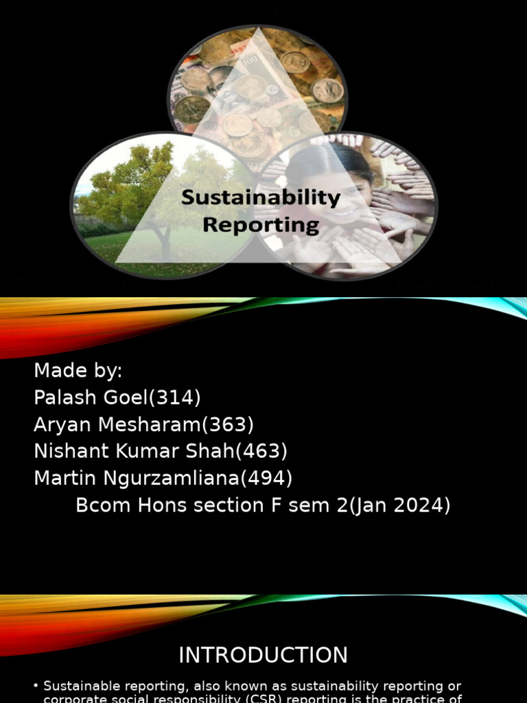 Sustainability Reporting | PDF