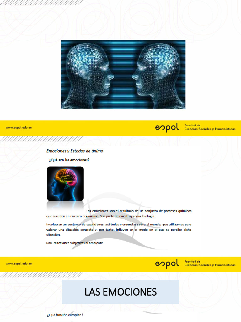 La Dimension Social | PDF