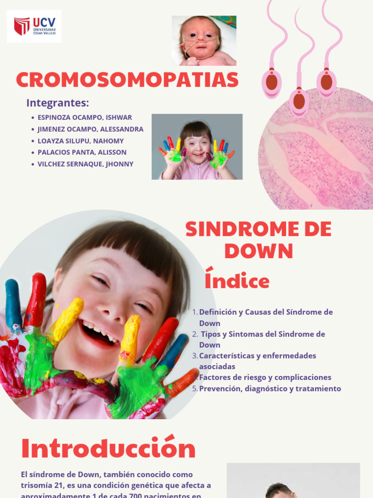 Embriología 20230923 011215 0000 | PDF