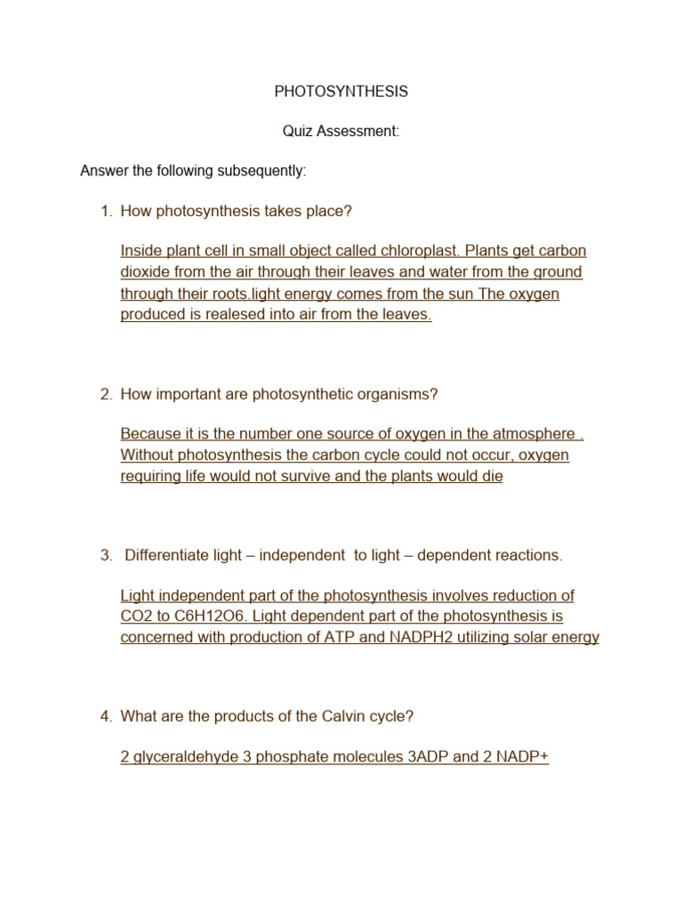 PHOTOSYNTHESIS - Assessment | PDF