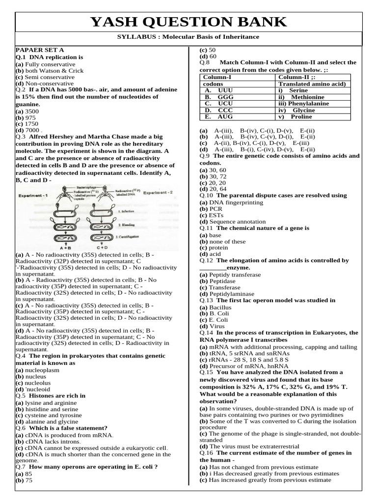 Yash Molecular Basis of inheritance | PDF