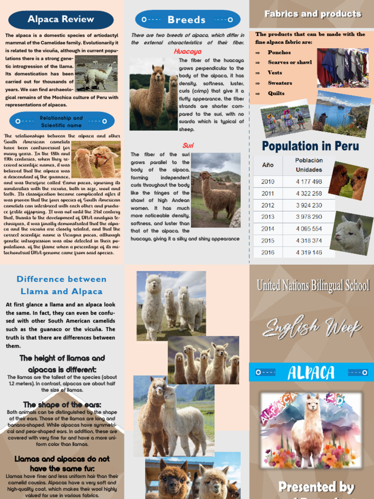 Triptico de Alpaca 2D | PDF