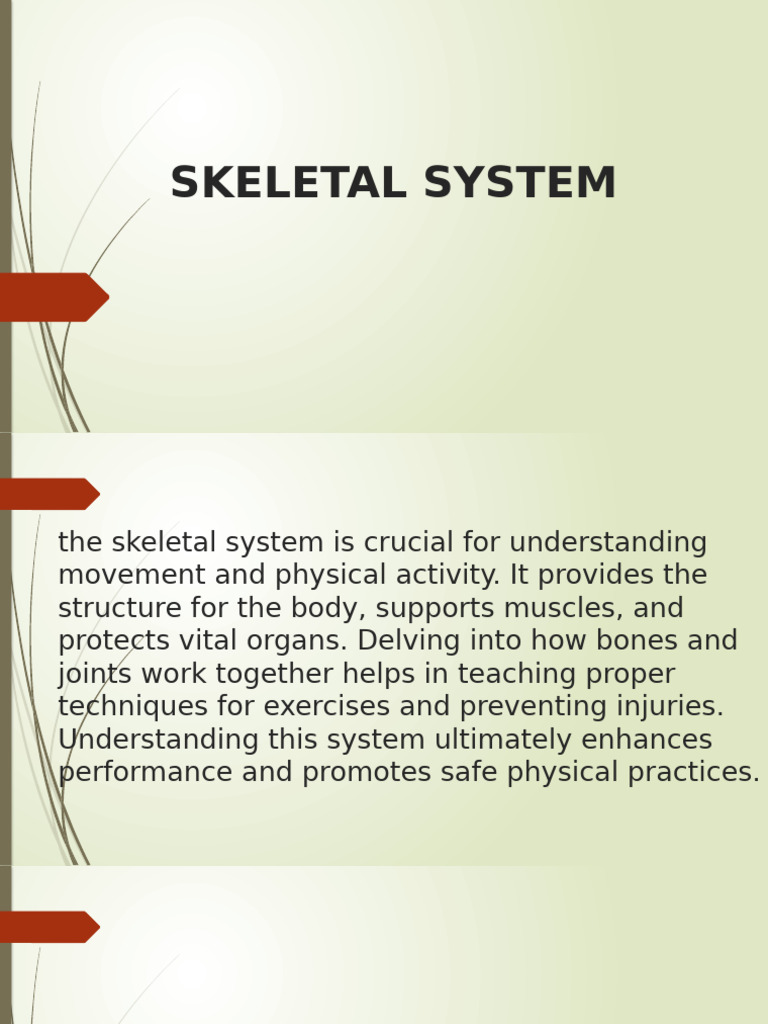 Skeletal System | PDF