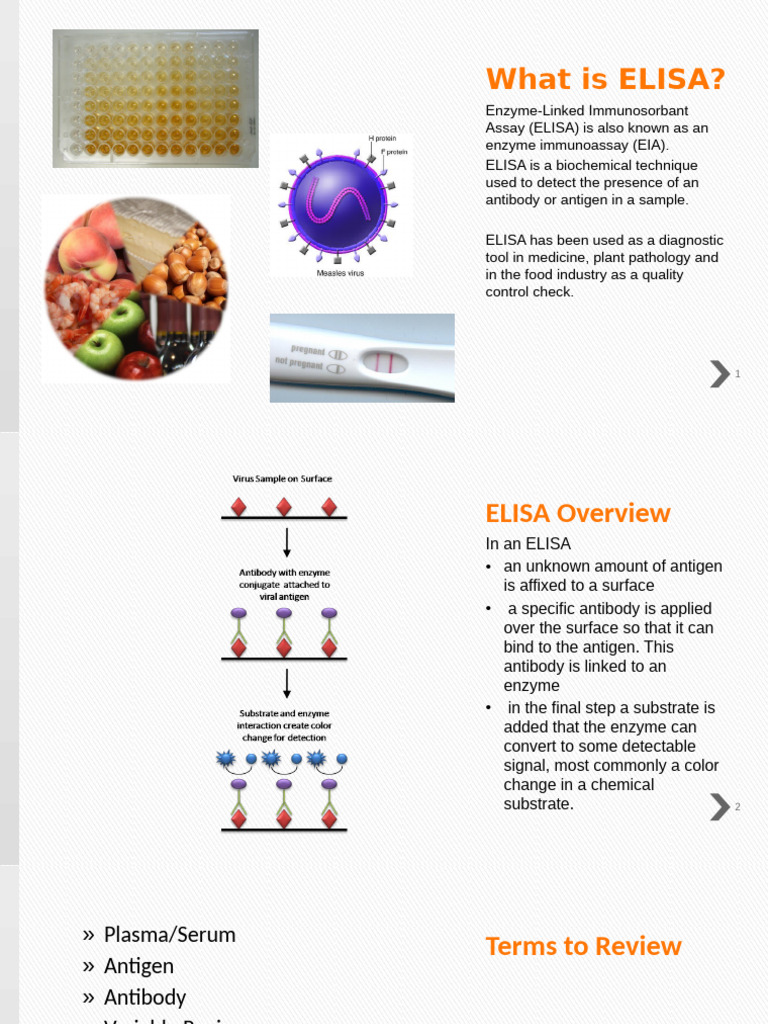 Elisa Methods | PDF