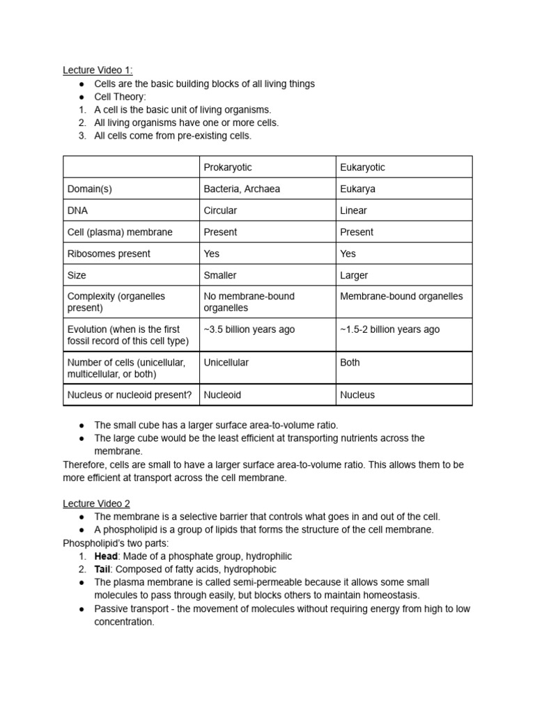 Chapter 3 Study Guide | PDF