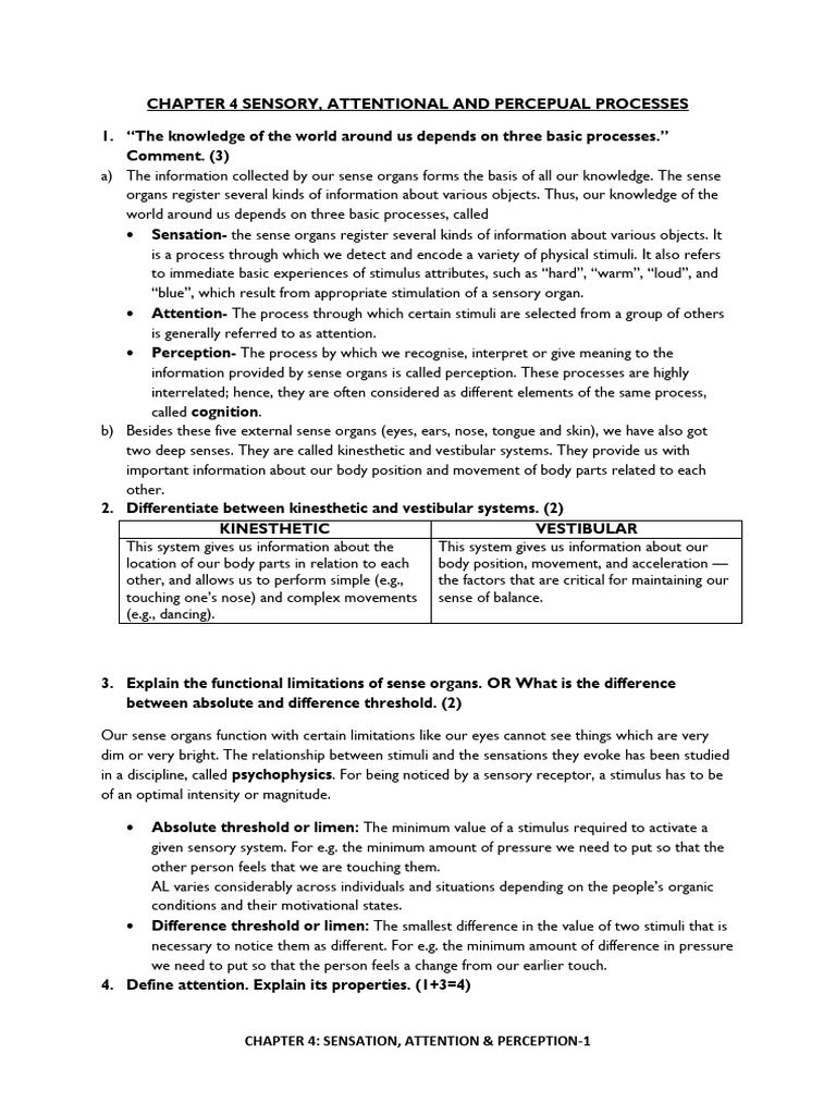 Chapter 4 Sensory Attentional and Perceptual Processes | PDF