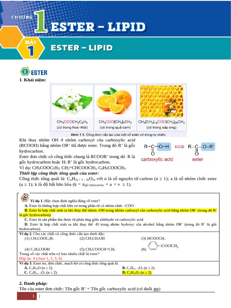 Bài 1. Ester - Lipid - GV - Fix | PDF