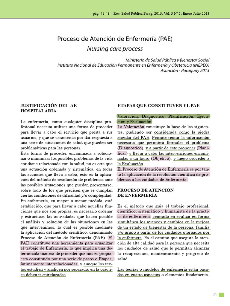 Proceso de Atencion en Enfermeria | PDF | Enfermería | Cuidado de la salud