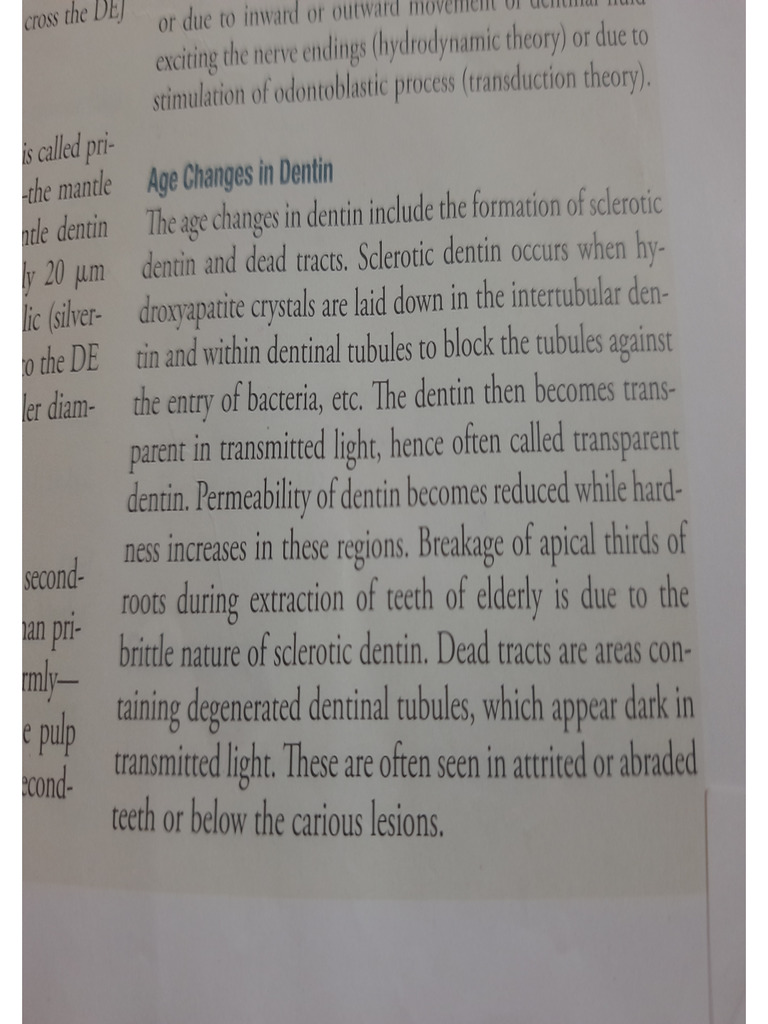 Dt Pdf