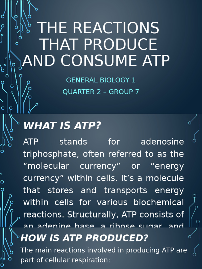 Genbio Atp | PDF