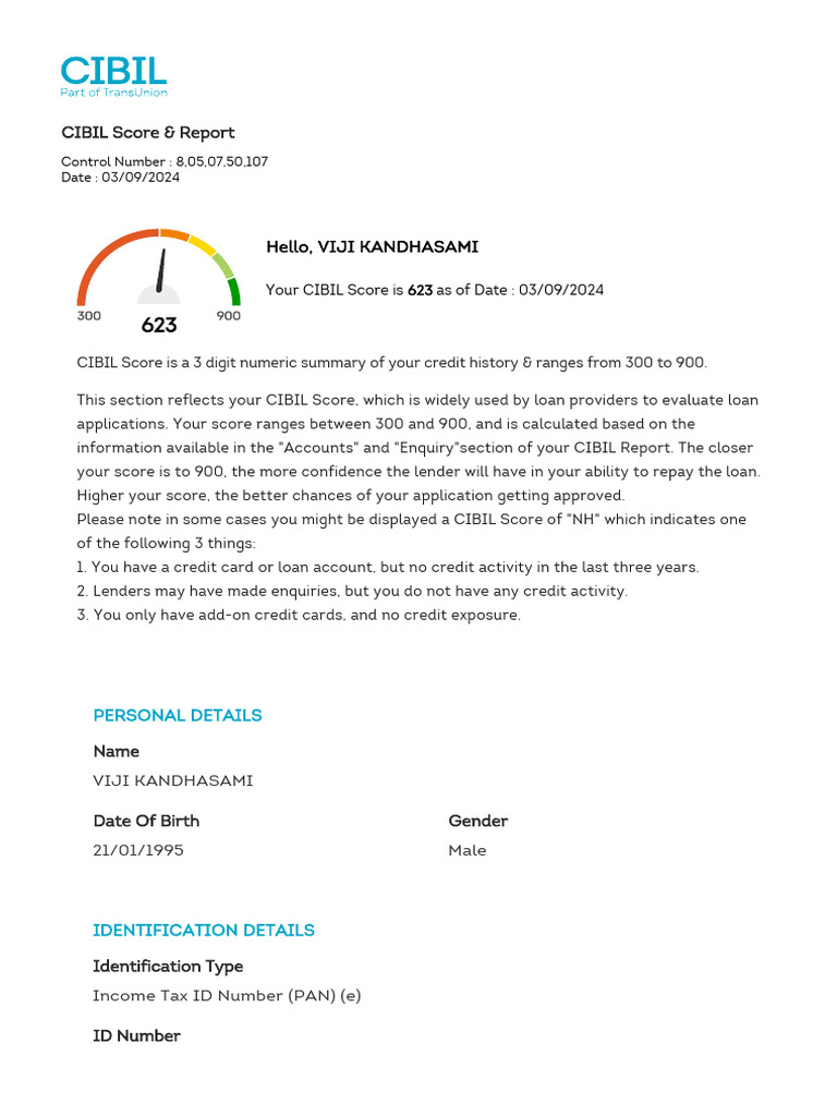 Viji Score Report - Cibil Dashboard | PDF