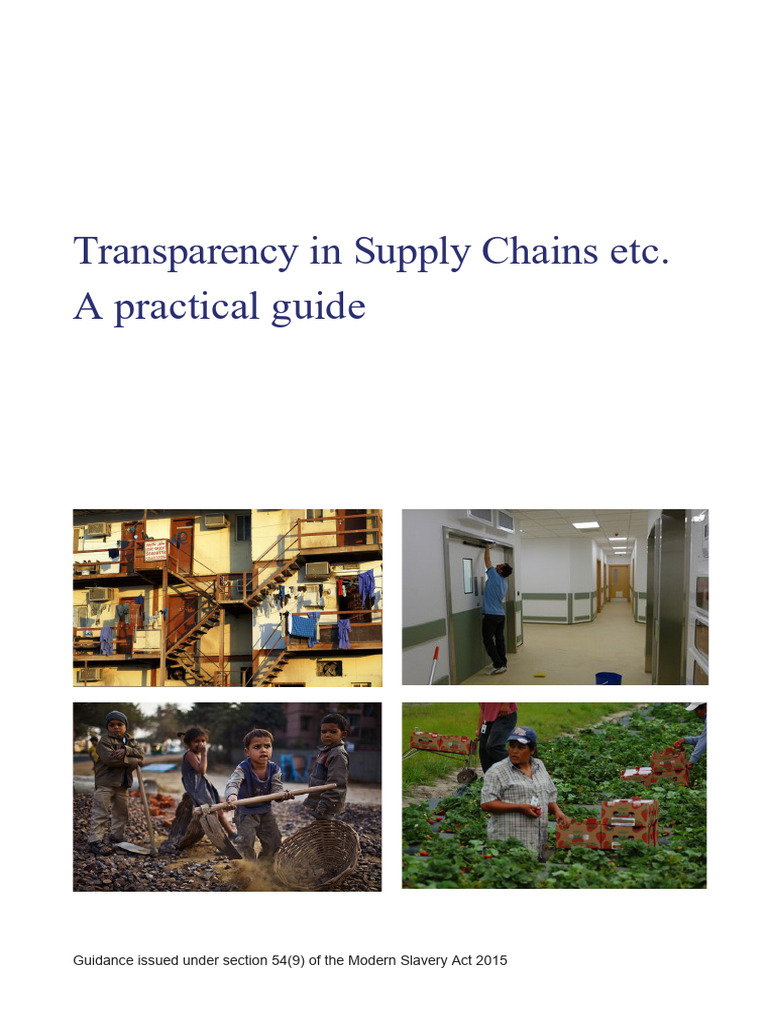 Transparency in Supply Chains A Practical Guide 2017 Final | PDF