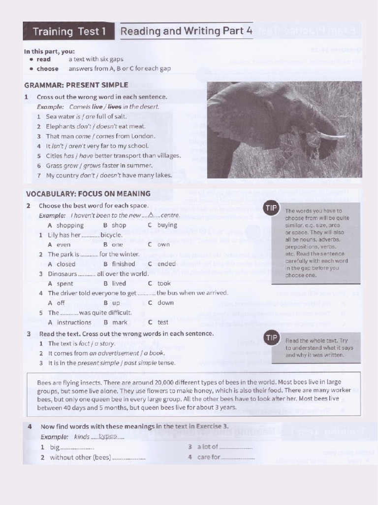 READING PART 4 | PDF