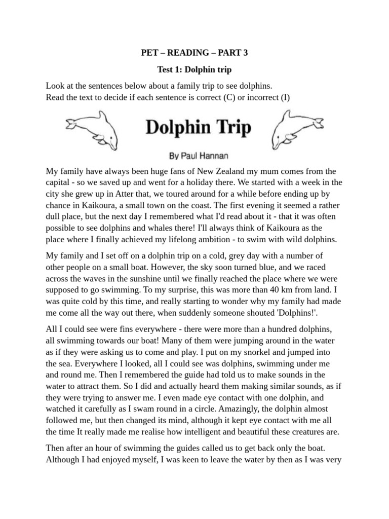 Pet. Reading part 3 | PDF
