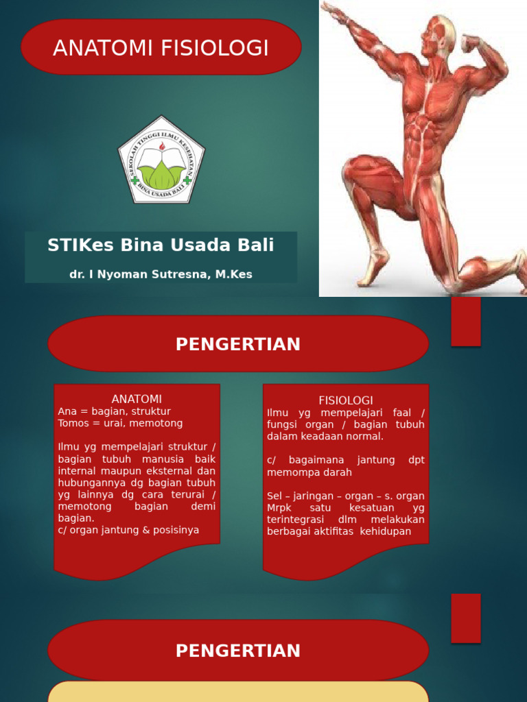 Anatomi Fis. Ppt Ins | PDF