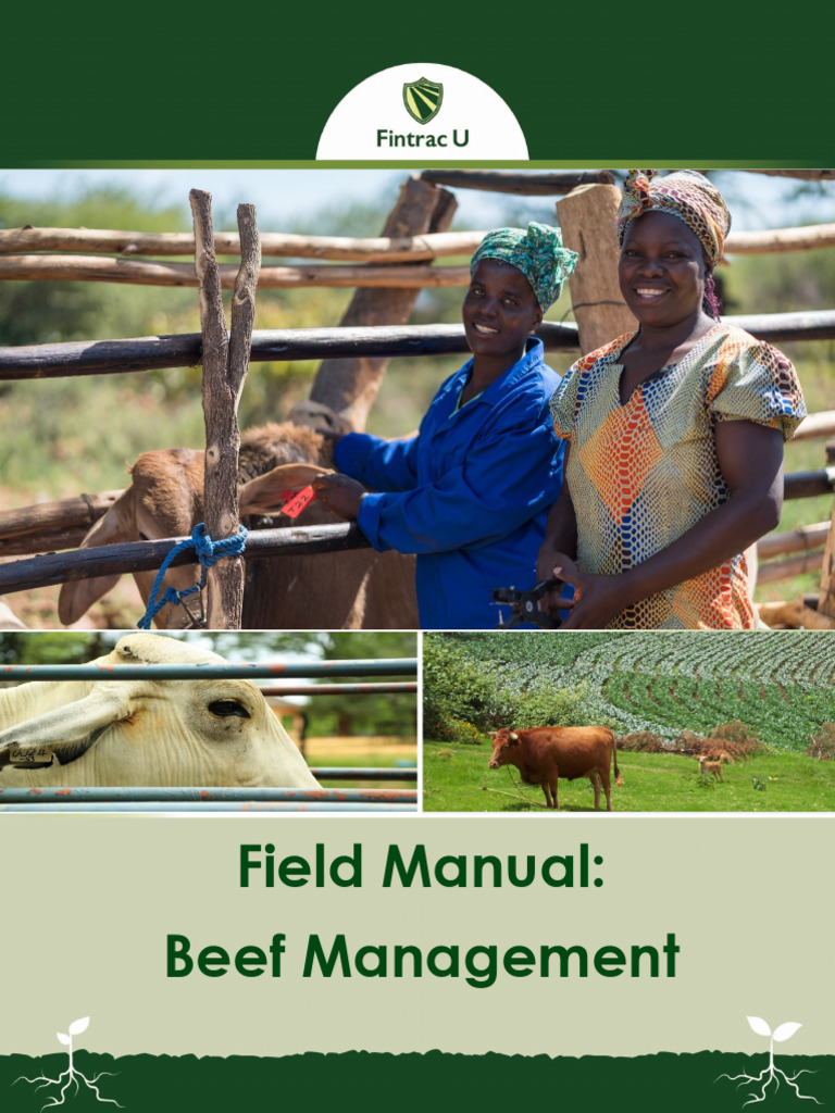Field Manual - Beef Management | PDF