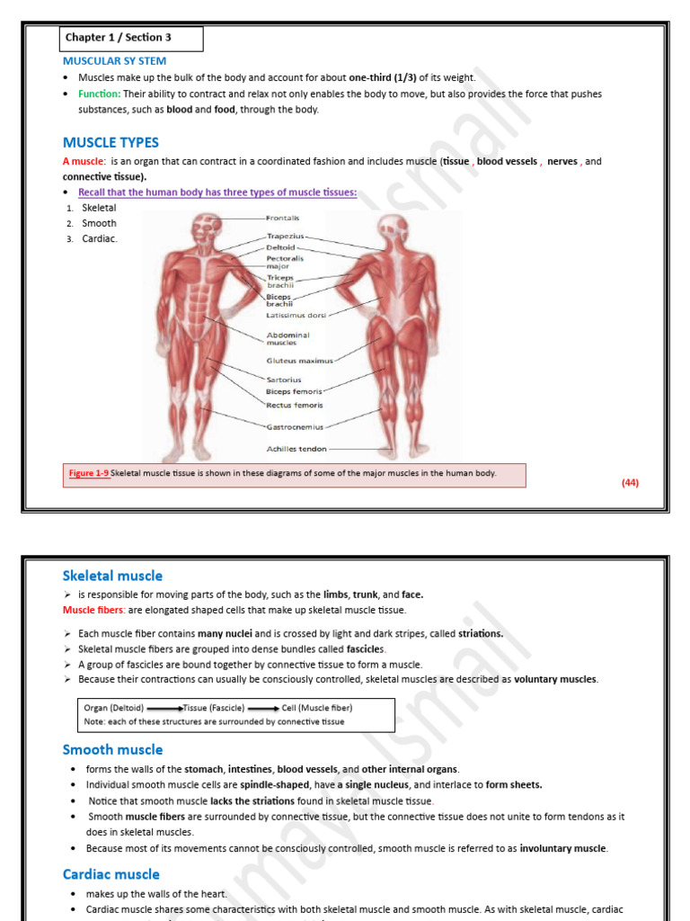 Section 1-3 | PDF