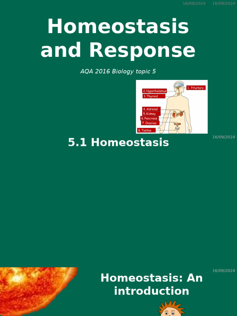 Biology 5 - Homeostasis and Response | PDF