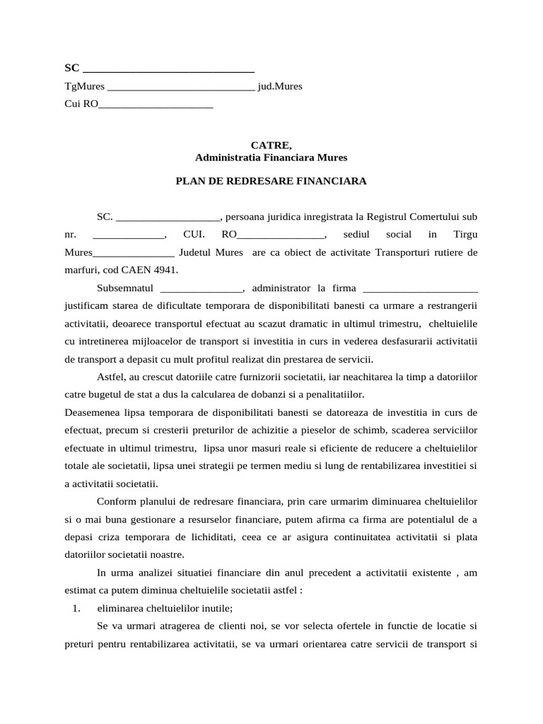 Plan de Redresare FINANCIARA Model | PDF