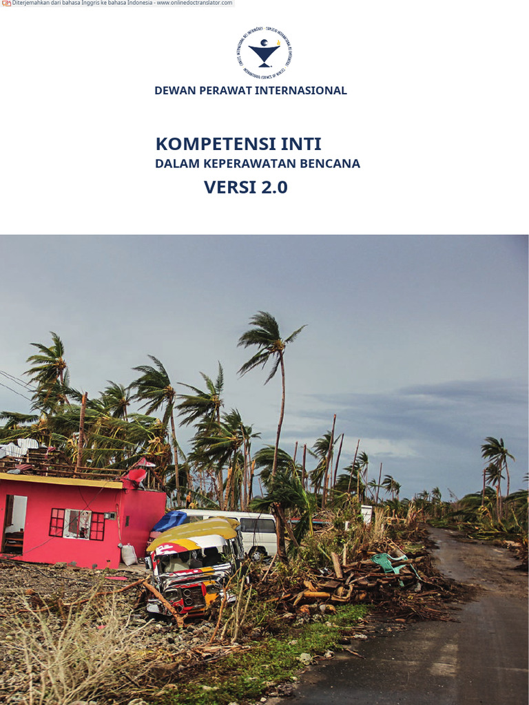 ICN Disaster-Comp-Report WEB - En.id | PDF