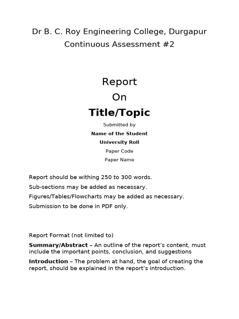 CA2 Report Format | PDF