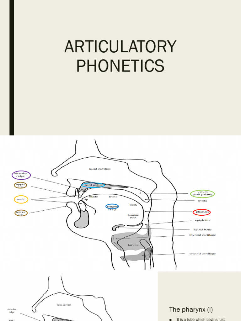 The Articulators | PDF