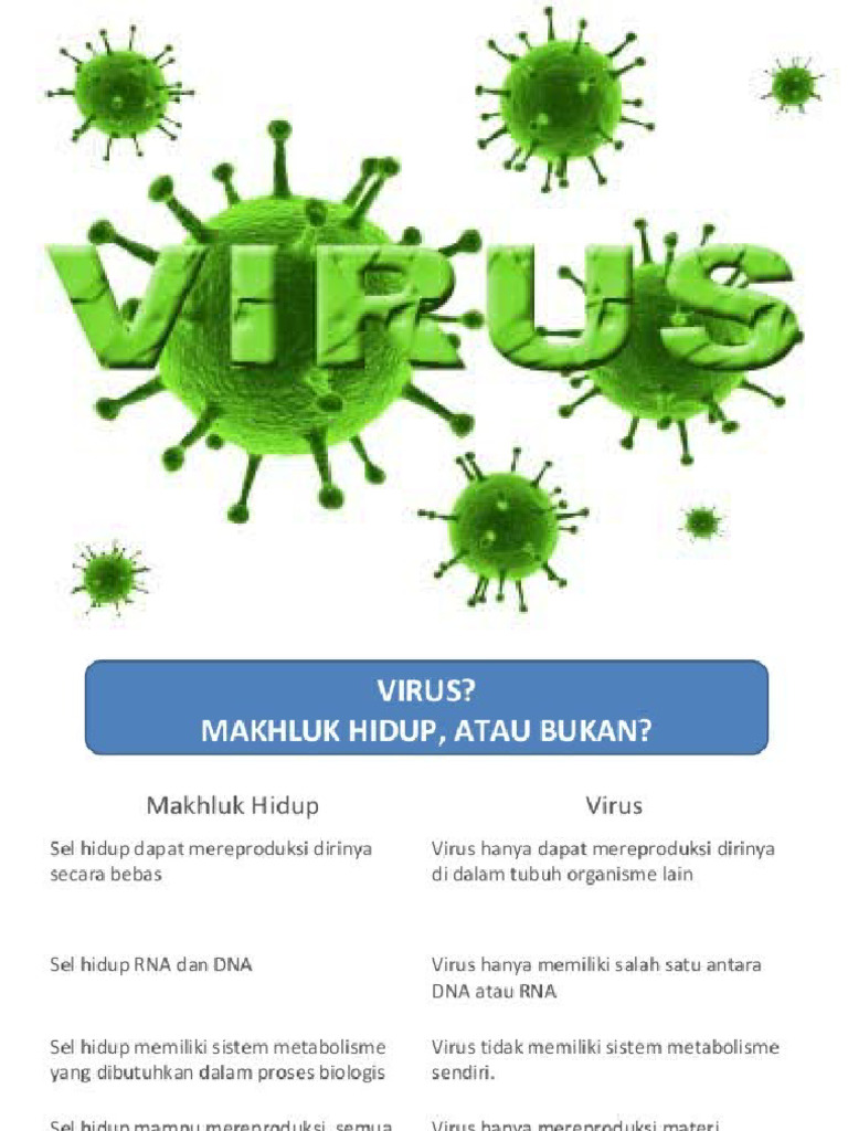 Virus | PDF