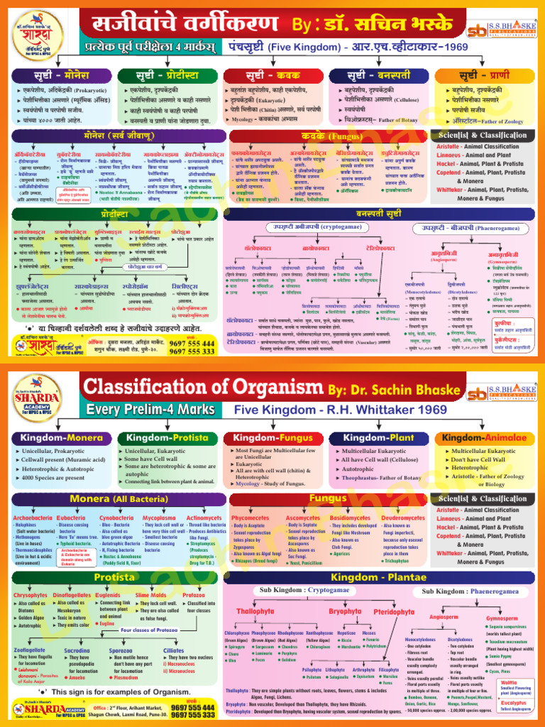 Classification Chart Ba66b6db 8179 43ac b56f 34b6bd0c036c | PDF