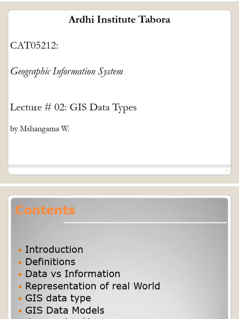 GIS Data Types-1 | PDF