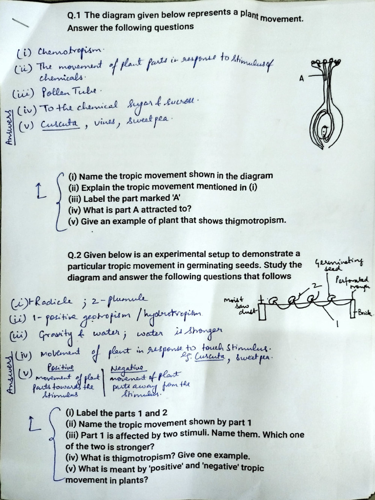 ICSE 10 TEST PAPER Nehal Baid | PDF