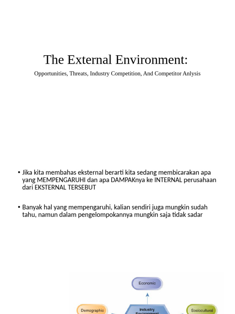 The External Environment | PDF