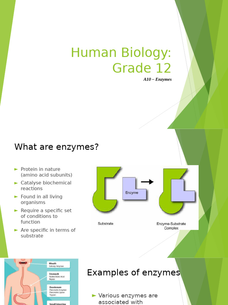 GR 12 A10 PowerPoint | PDF