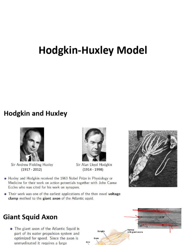 6-HH Model-Student | PDF
