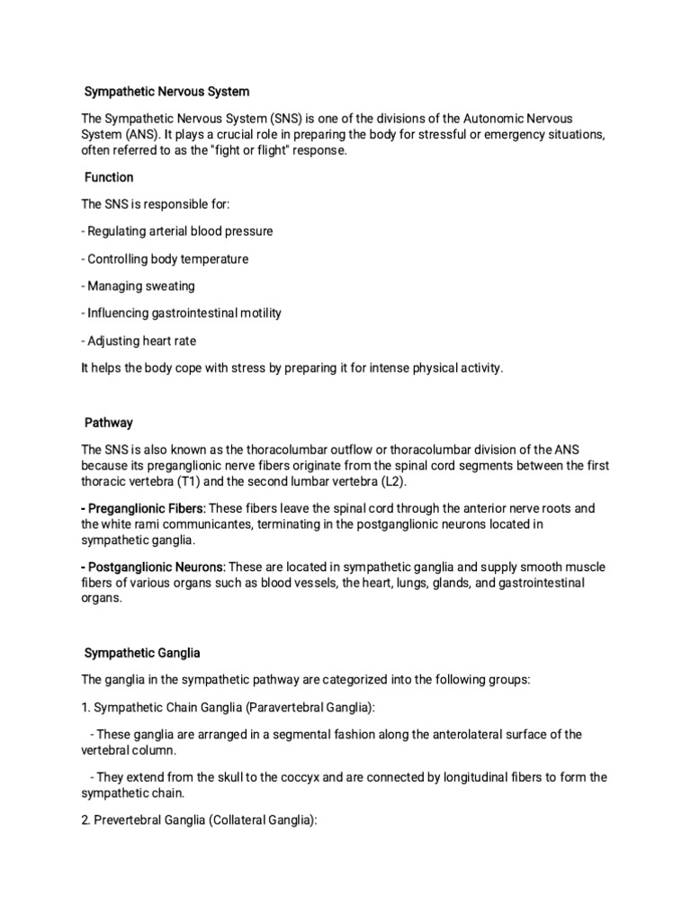 Sympathetic Nervous System | PDF | Acetylcholine | Norepinephrine