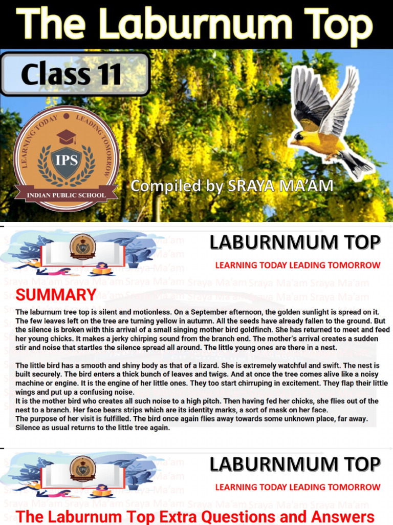 The Laburnum Top | PDF