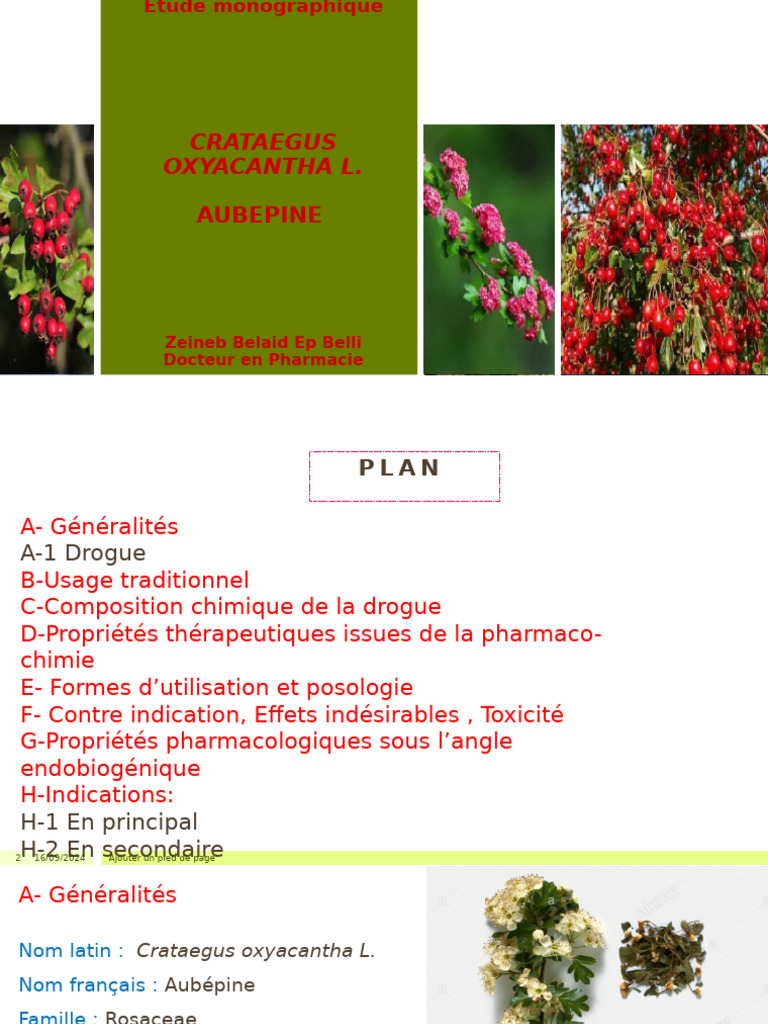 AUBEPINE | PDF