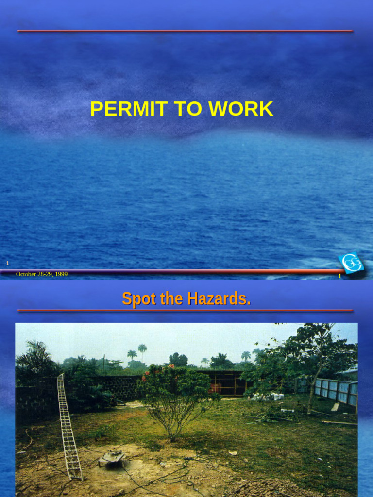 Permit to work | PDF
